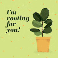 50 Plant And Cactus Puns For Your Inner Plant Lady ProFlowers 50 Plant And Cactus Puns For Your Inner Plant Lady ProFlowers