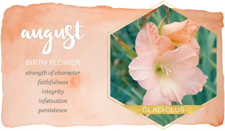 Birth Month Flowers and Their Meanings