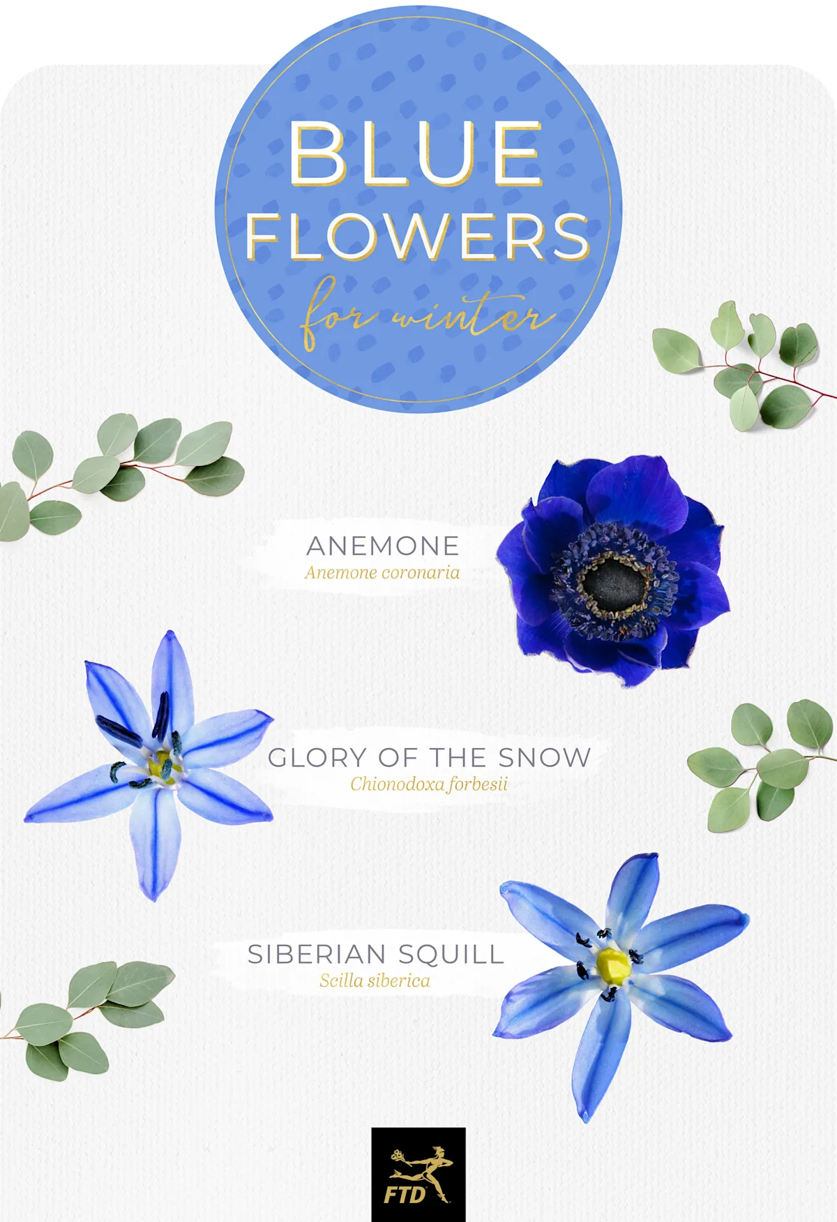 30 Types of Blue Flowers - FTD.com