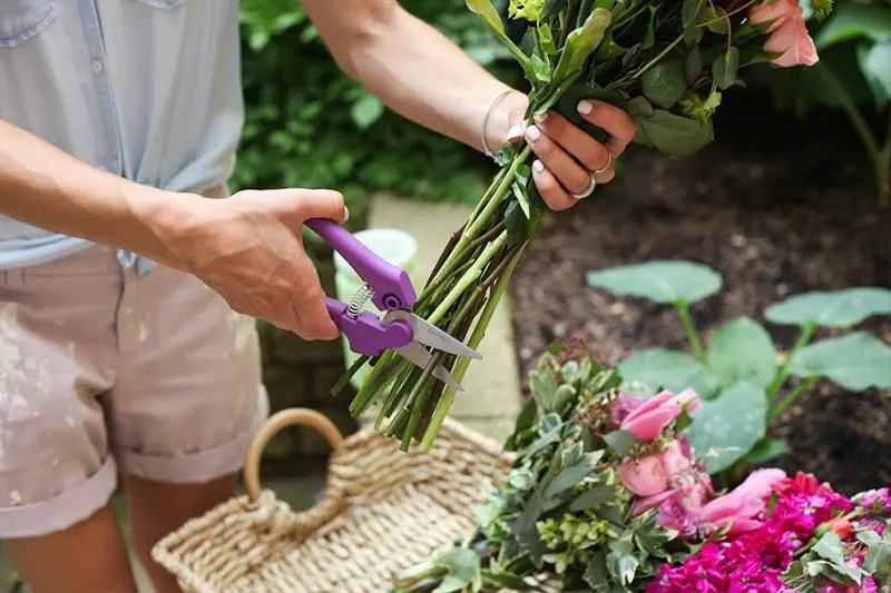 Cutting Flowers for Vase Size - Fresh by FTD