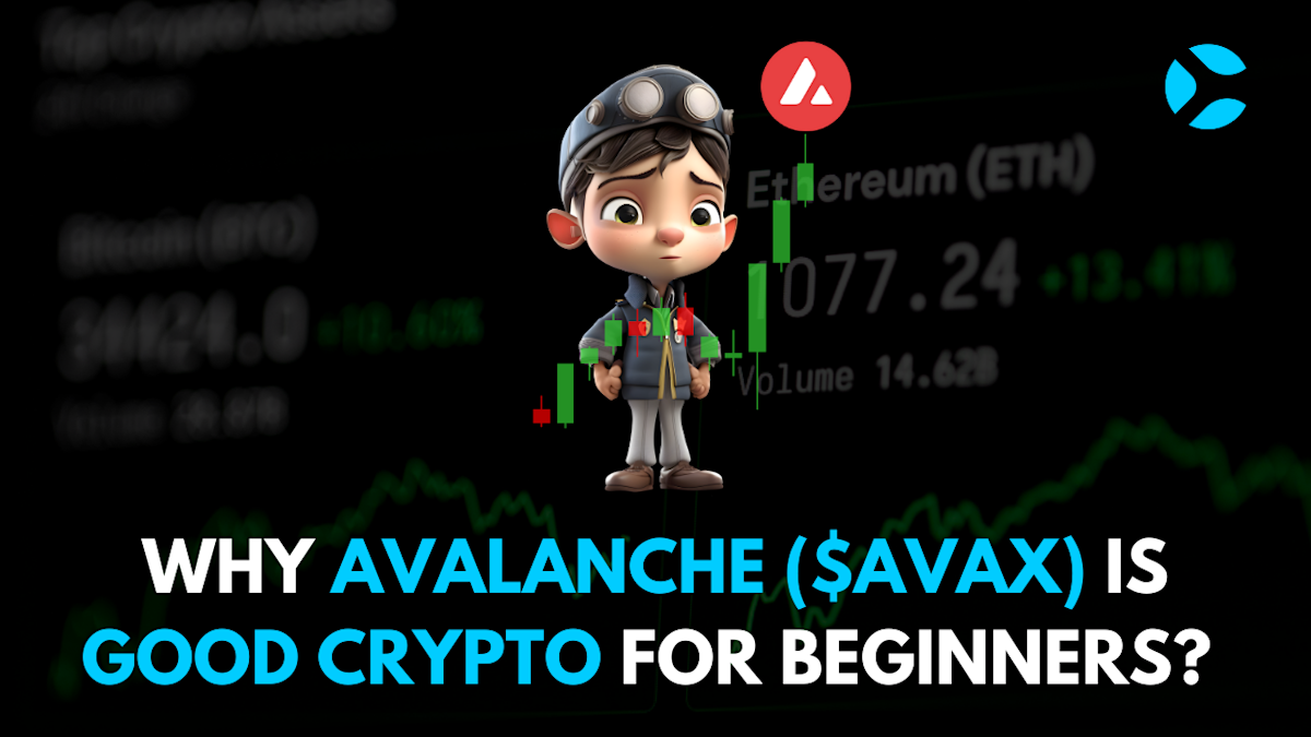Why Avalanche (AVAX) Is Good Crypto For Beginners? - CoinSoMuch
