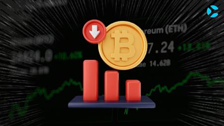 CoinSoMuch - Covering Crypto News, Tips, Tricks, and More!