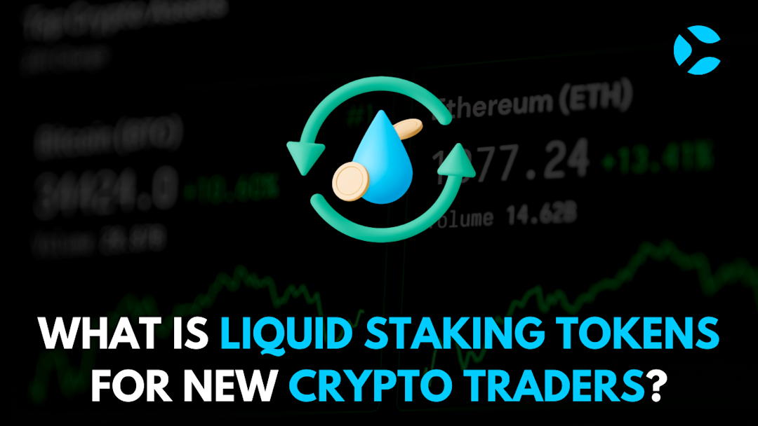 How To Maximize Crypto Investments As An Investor [2024] - CoinSoMuch