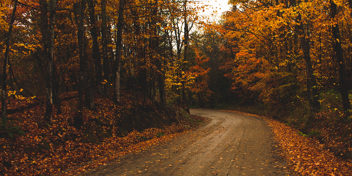 Vermont Fall Favorites | Premium Parking Blog