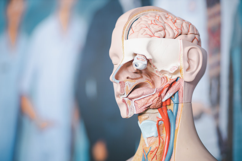 Online Pathophysiology Certificate Course - AAPC