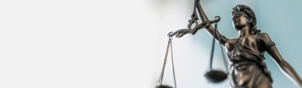 Healthcare Investigations & Litigation Support Services - AAPC