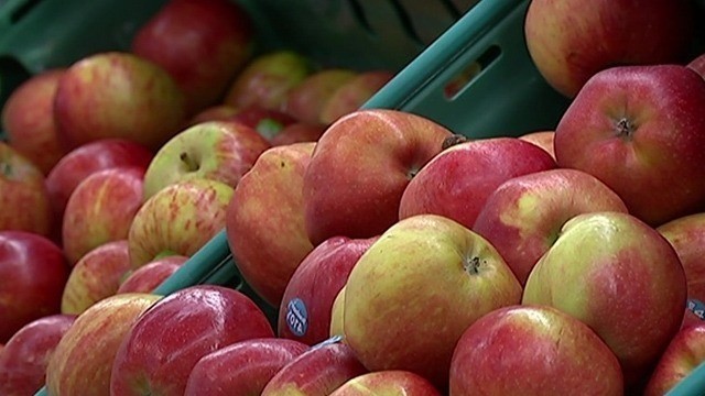 Fighting the fat? An apple could help... | Lorraine