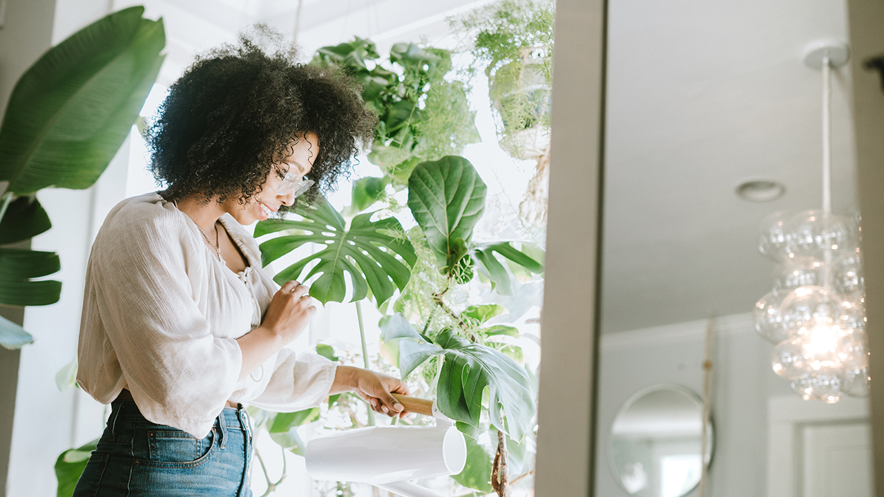 New Oasis Homes | Unique Plans & Designs | Woodside Homes