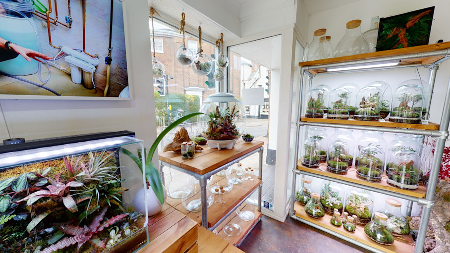 Take a walk on the wild side with Scaped Nature | Matterport