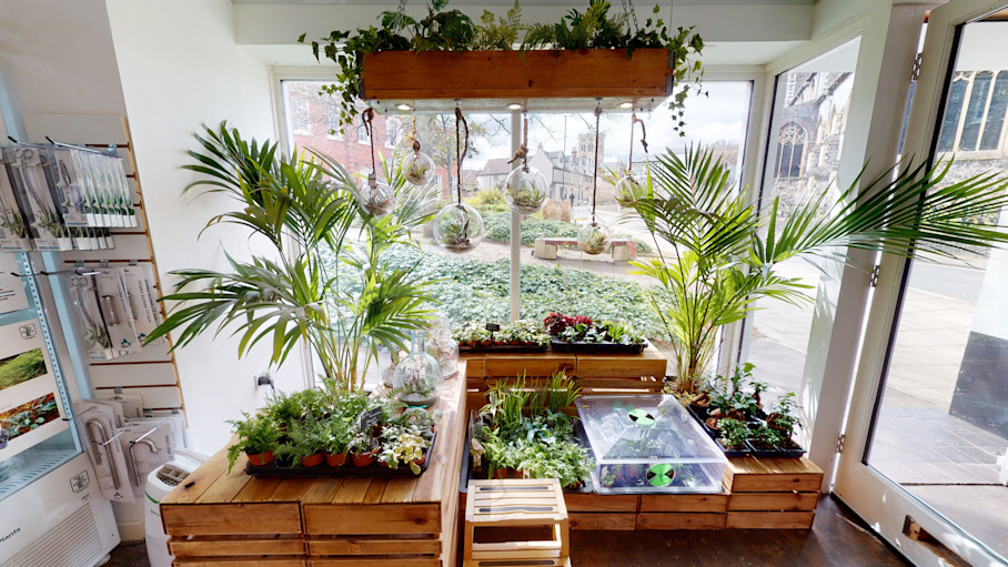 Take a walk on the wild side with Scaped Nature | Matterport