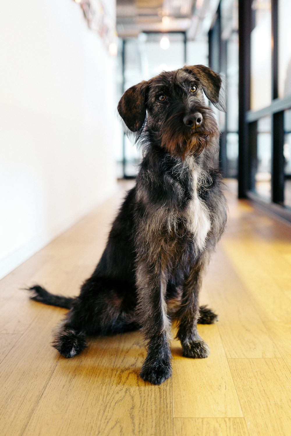 Evernest - Immobilien erfolgreich mit Makler verkaufen - Evernest