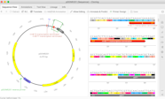 Geneious Prime Molecular Biology And Sequence Analysis Tools Geneious Geneious Prime Molecular Biology And Sequence Analysis Tools Geneious