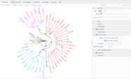 Geneious Prime Molecular Biology And Sequence Analysis Tools Geneious Geneious Prime Molecular Biology And Sequence Analysis Tools Geneious