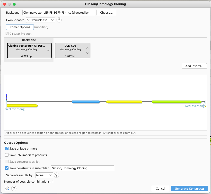 Practice Gibson Assembly - Geneious