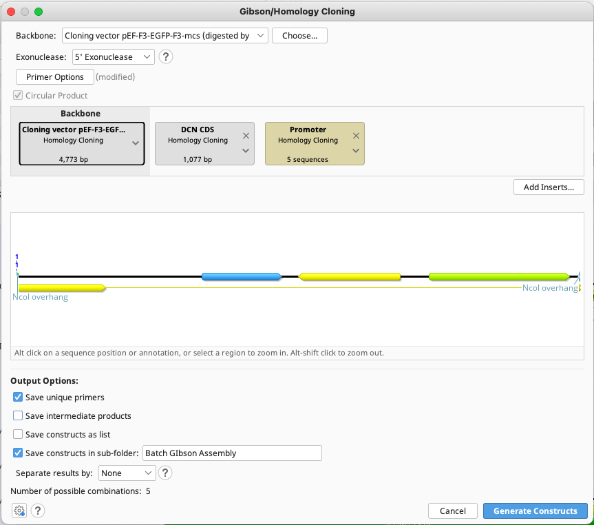 Practice Gibson Assembly - Geneious