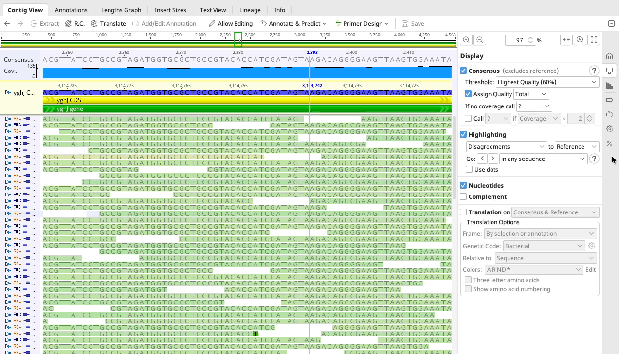 How to Map NGS Reads to a Reference and Call Variants - Geneious