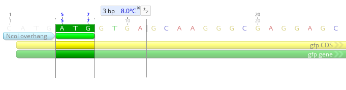 Practice Gibson Assembly - Geneious