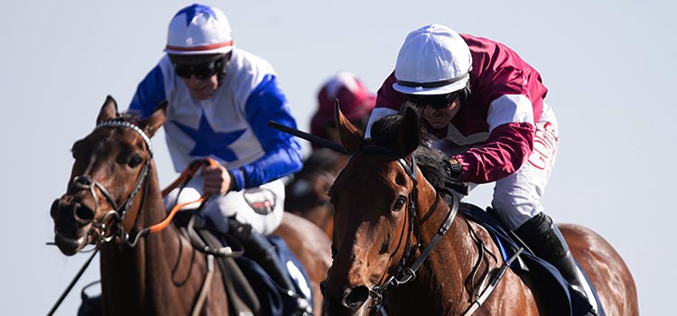 Tote.co.uk | Home of your new Tote