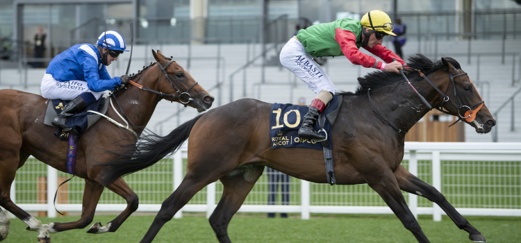 Tote.co.uk | Home of your new Tote