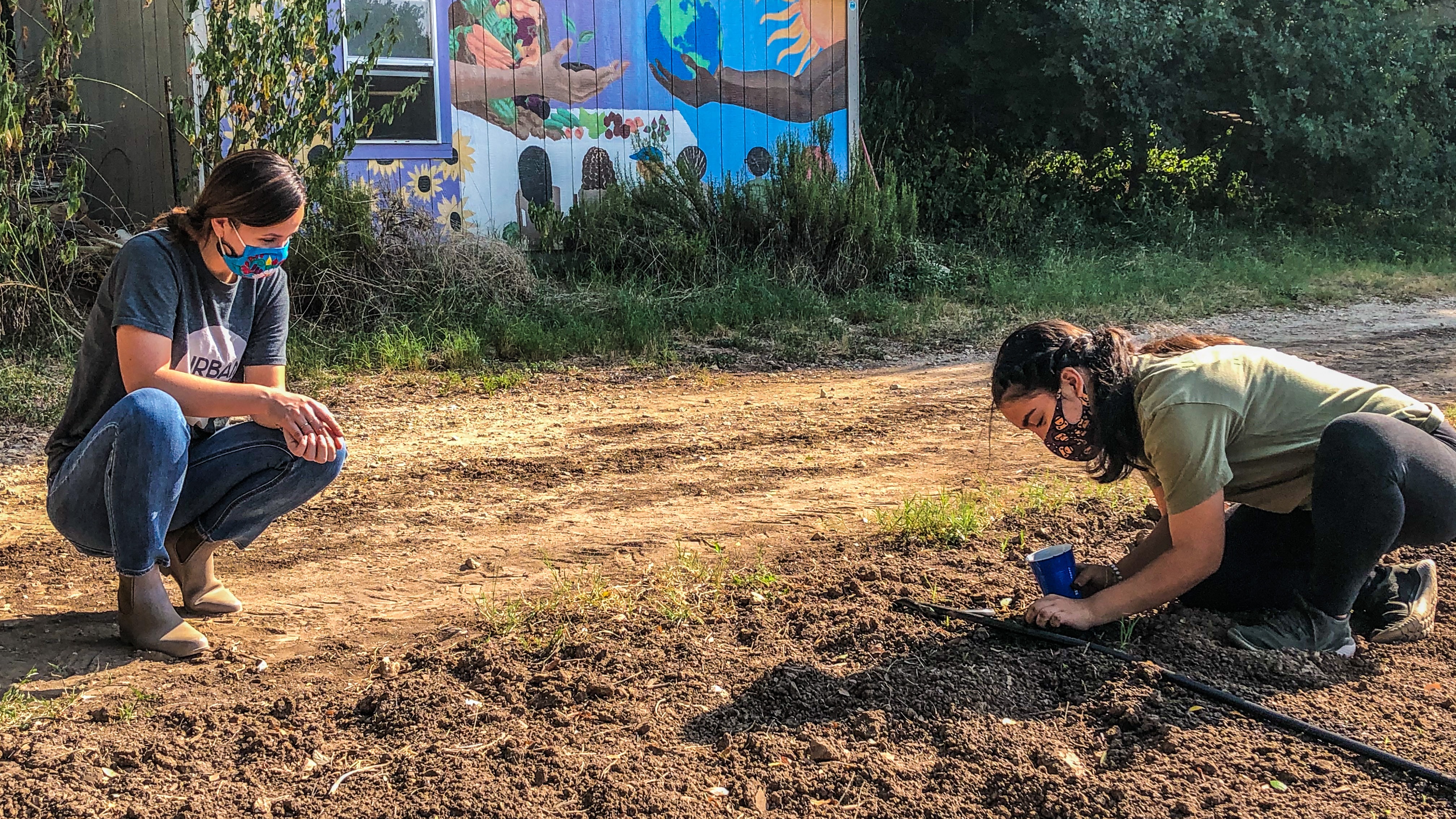 Planting The Seed: Urban Roots Farm Turns Interns Into Storytellers ...