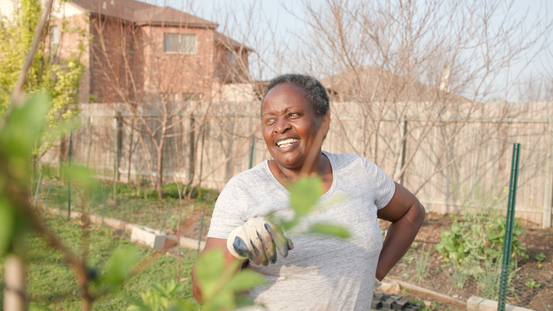 Growing Forward | Decibel