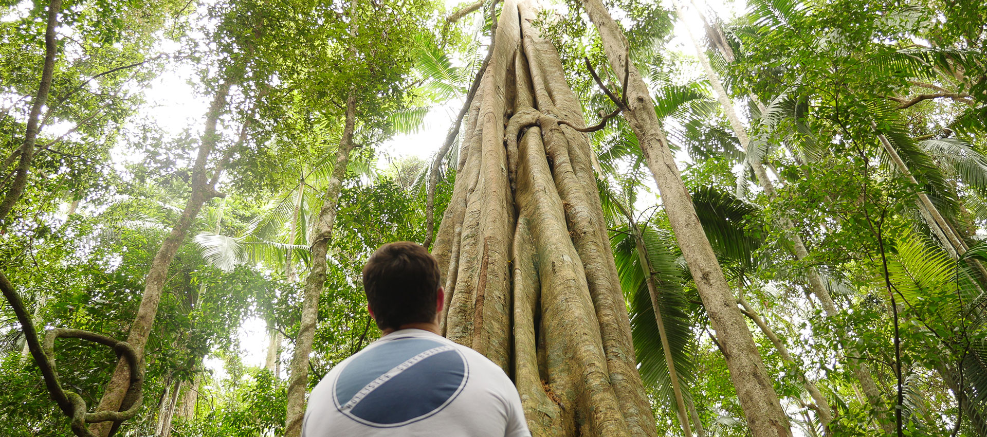 Mapleton - Visit Sunshine Coast