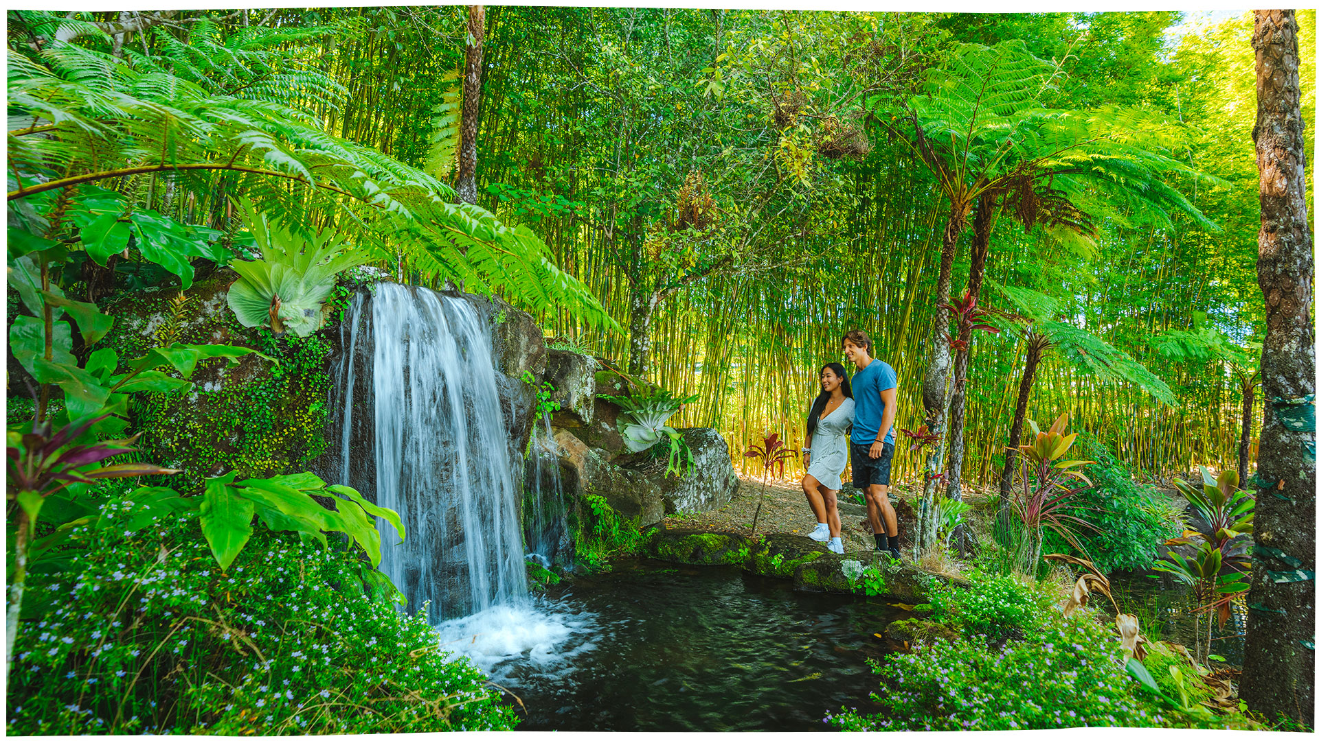Ultimate guide to Sunshine Coast gardens - Visit Sunshine Coast