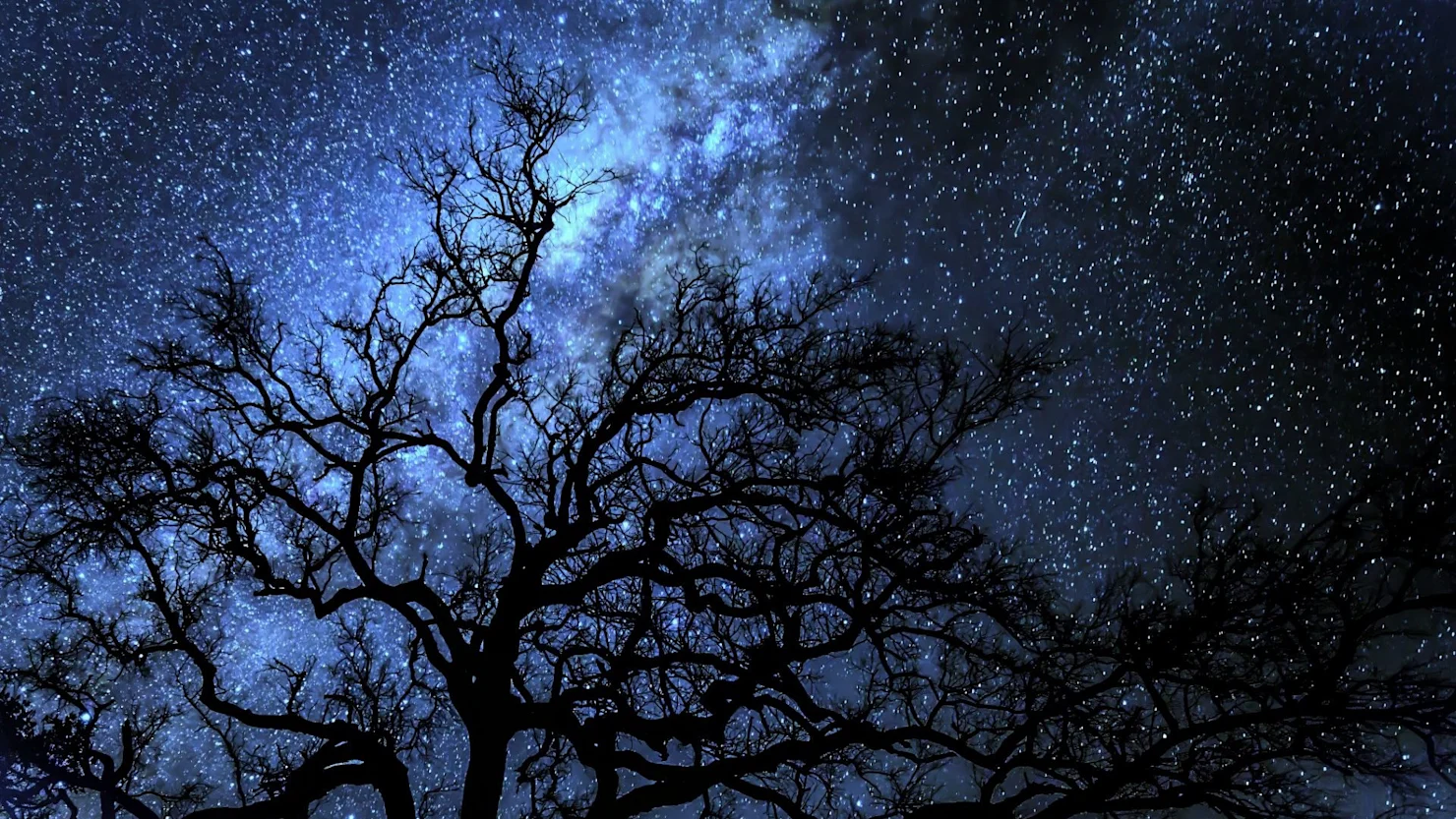Queensland's Only Dark Sky Reserve: Stargazing in the Sunshine Coast ...