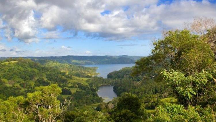 Things to do in Montville - Visit Sunshine Coast