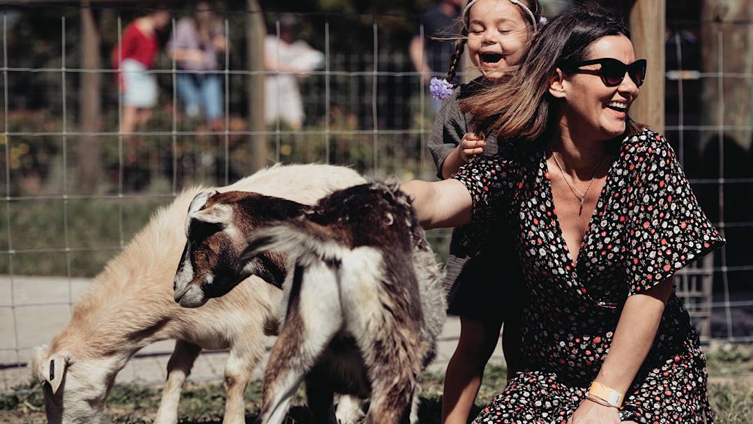 Why the Sunshine Coast is Australia’s craft beer capital - Visit ...