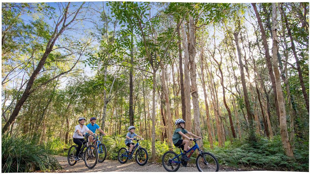 Ride the Five - Ferny Forest - Visit Sunshine Coast