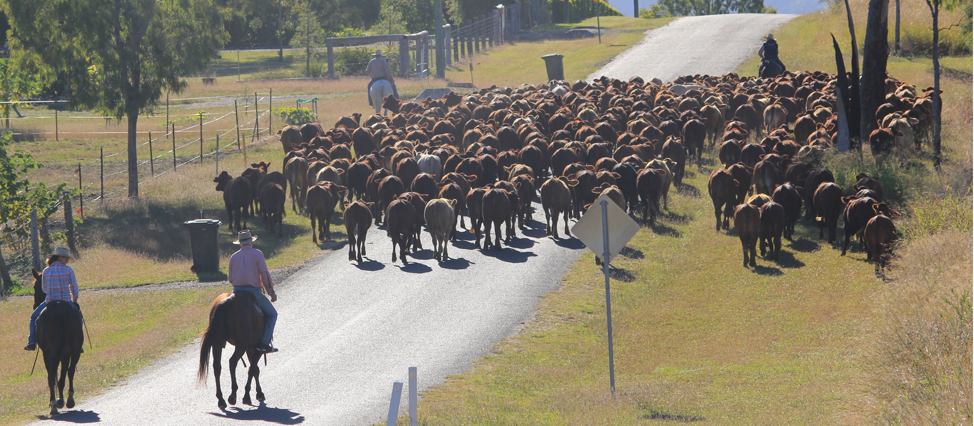 Kilkivan and Goomeri | Visit Sunshine Coast