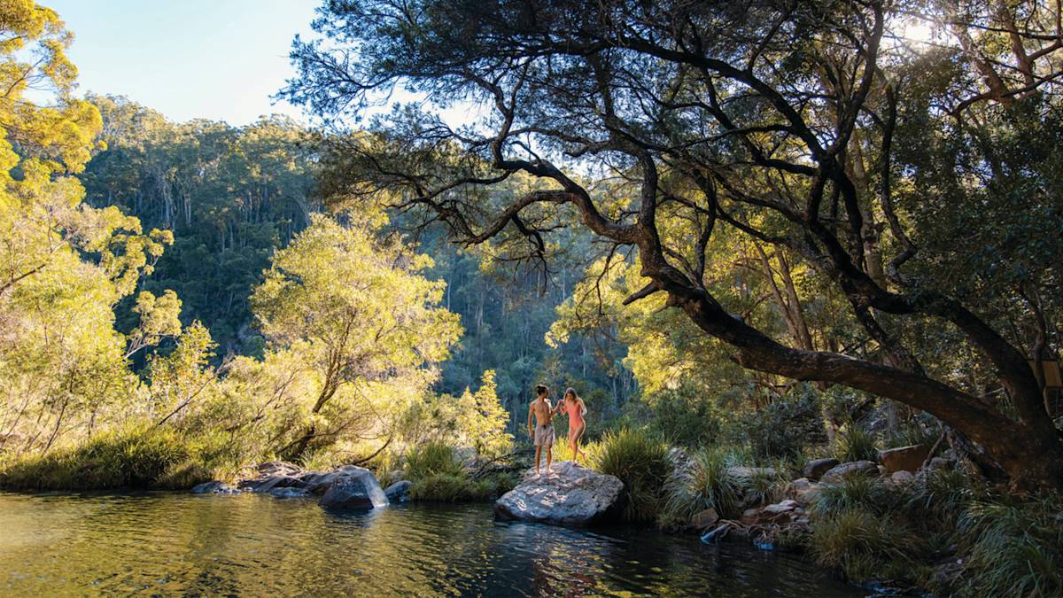 7 of the most unique places to visit on the Sunshine Coast - Visit ...