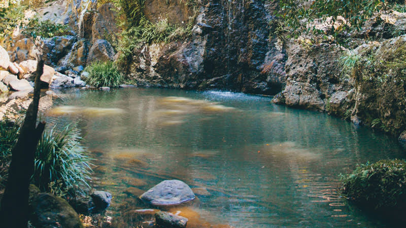 10 hidden waterfalls on the Sunshine Coast - Visit Sunshine Coast