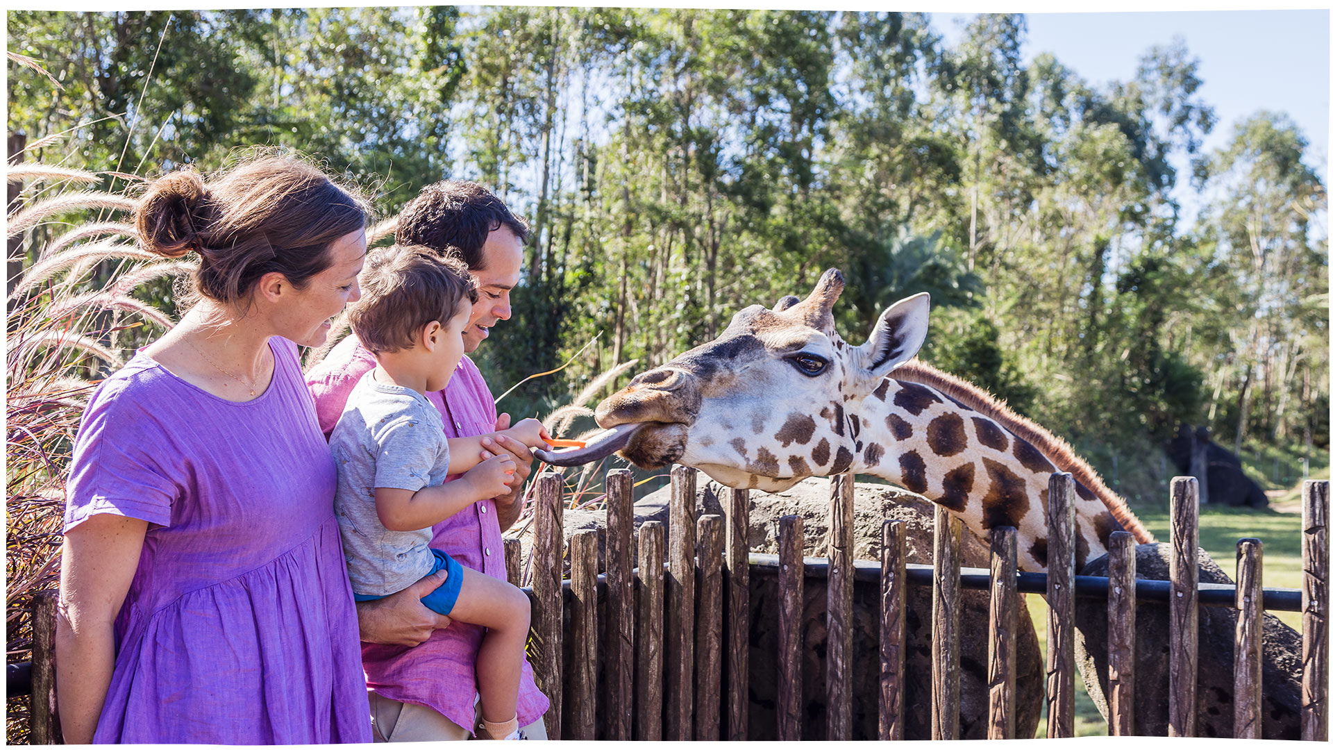 Meet the wildlife on this two-day accessible guide - Visit Sunshine Coast