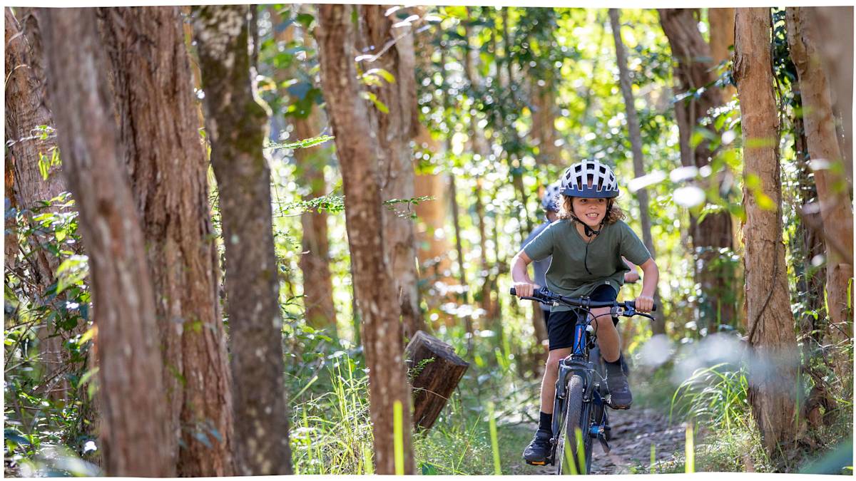 Ride the Five - Ferny Forest - Visit Sunshine Coast