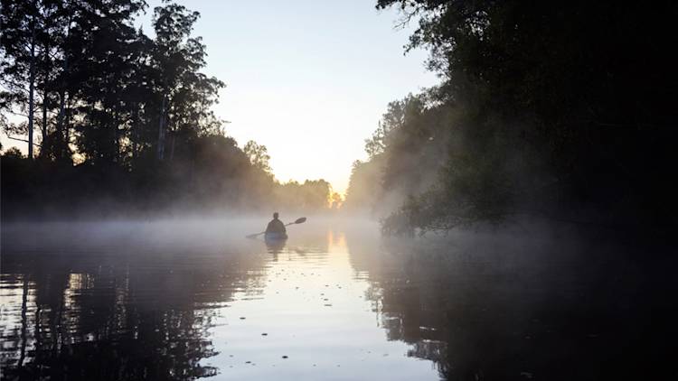 11 things to do in the Mary Valley - Visit Sunshine Coast