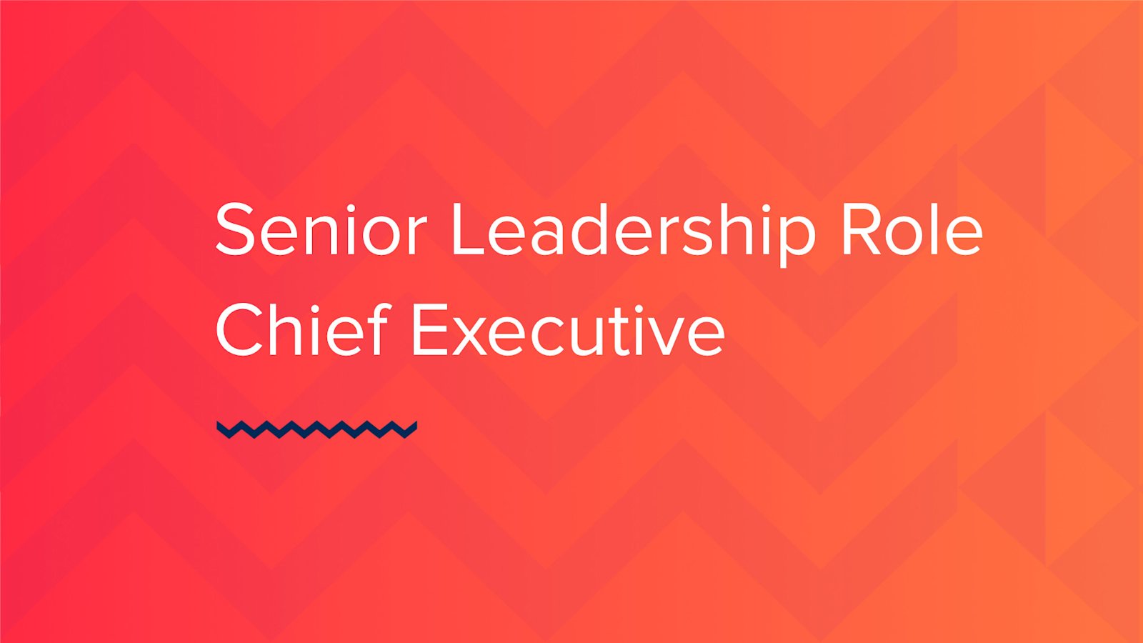 Senior Leadership Role - Chief Executive