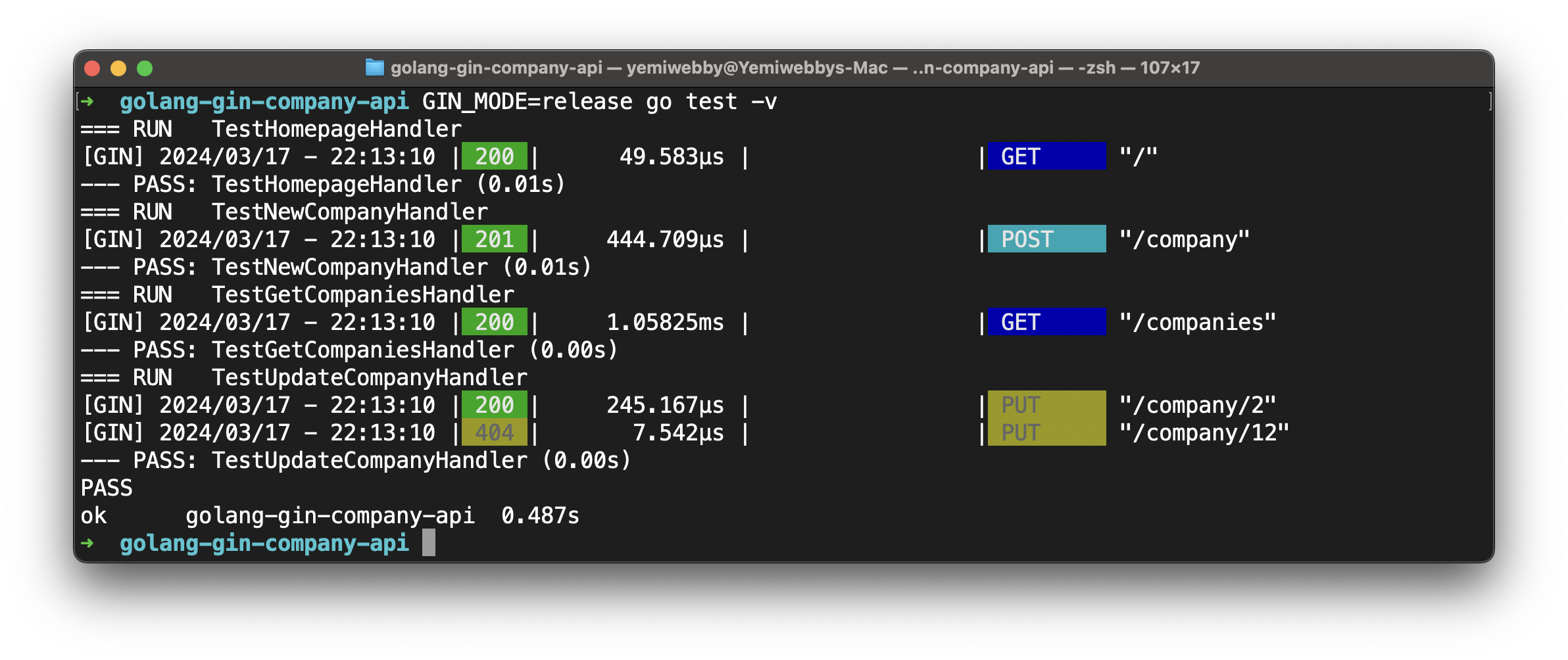Automate Testing For Golang Gin Gonic Restful Apis Circleci
