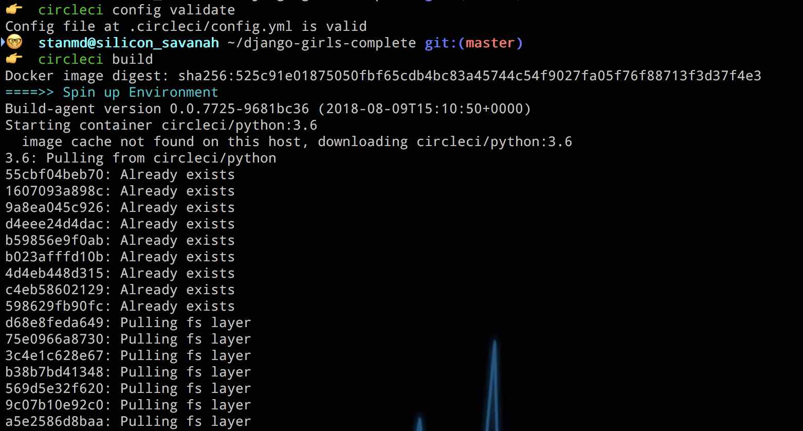 Continuous integration for Django projects | CircleCI