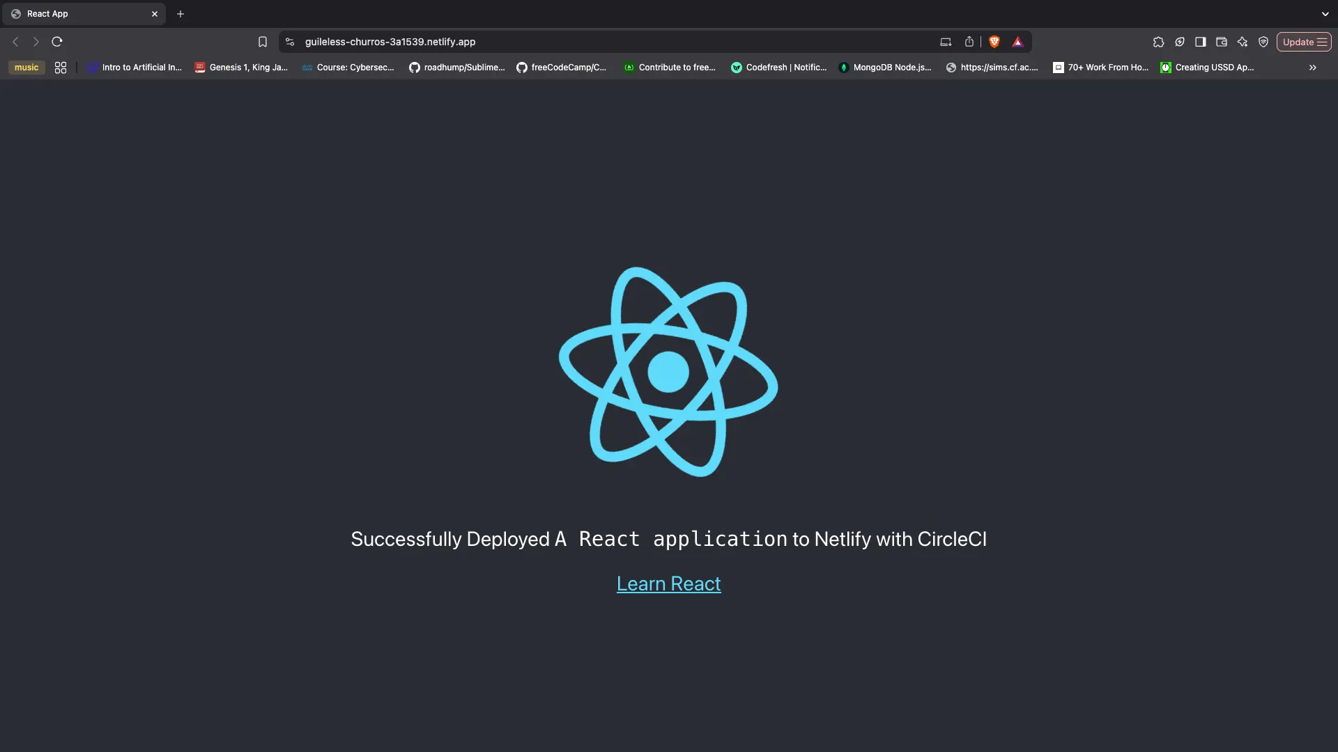 Deploying a React application to Netlify - CircleCI