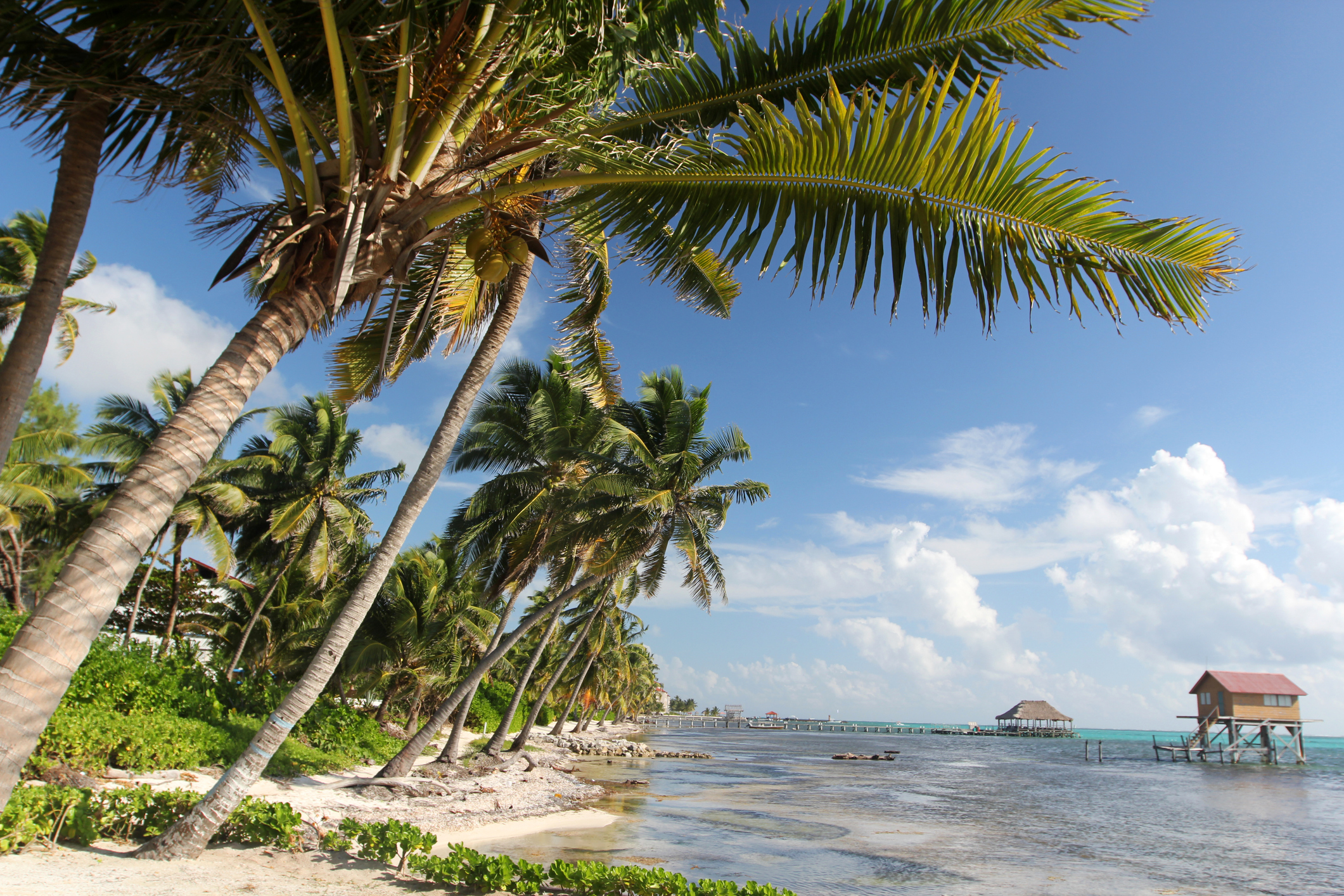 From Afro-Caribbean Island Vibes to Mayan Culture, Belize Has it All ...