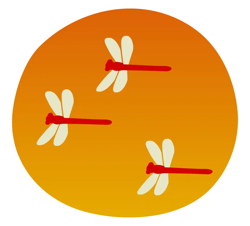 :user-valid、:user-invalid 擬似クラスでユーザーの操作の後に検証を行う