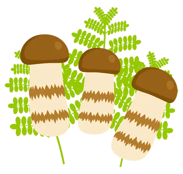 HTML 標準でコンボボックスを実現する ` ` 要素の提案