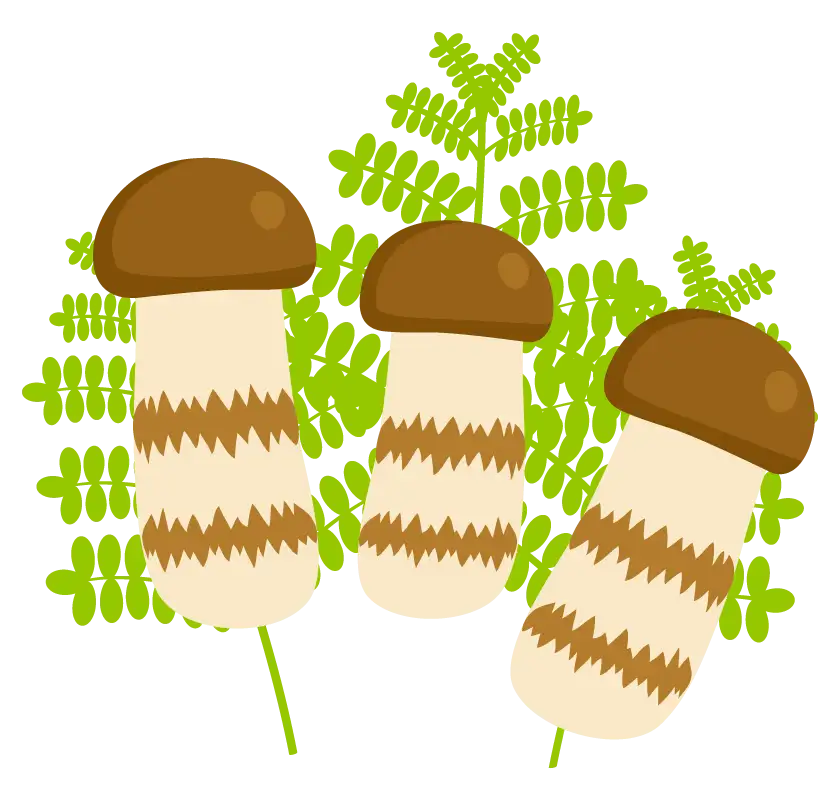 よりカスタマイズ可能なセレクトボックスを実現する `selectlist` 要素