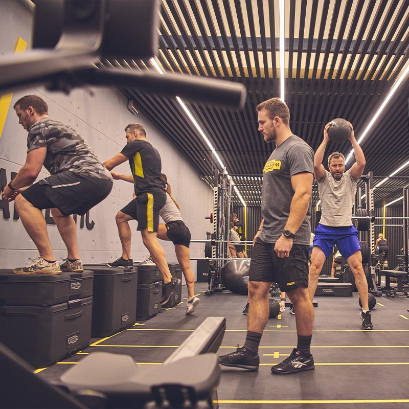 Technogym Education - courses & certifications for personal trainers ...