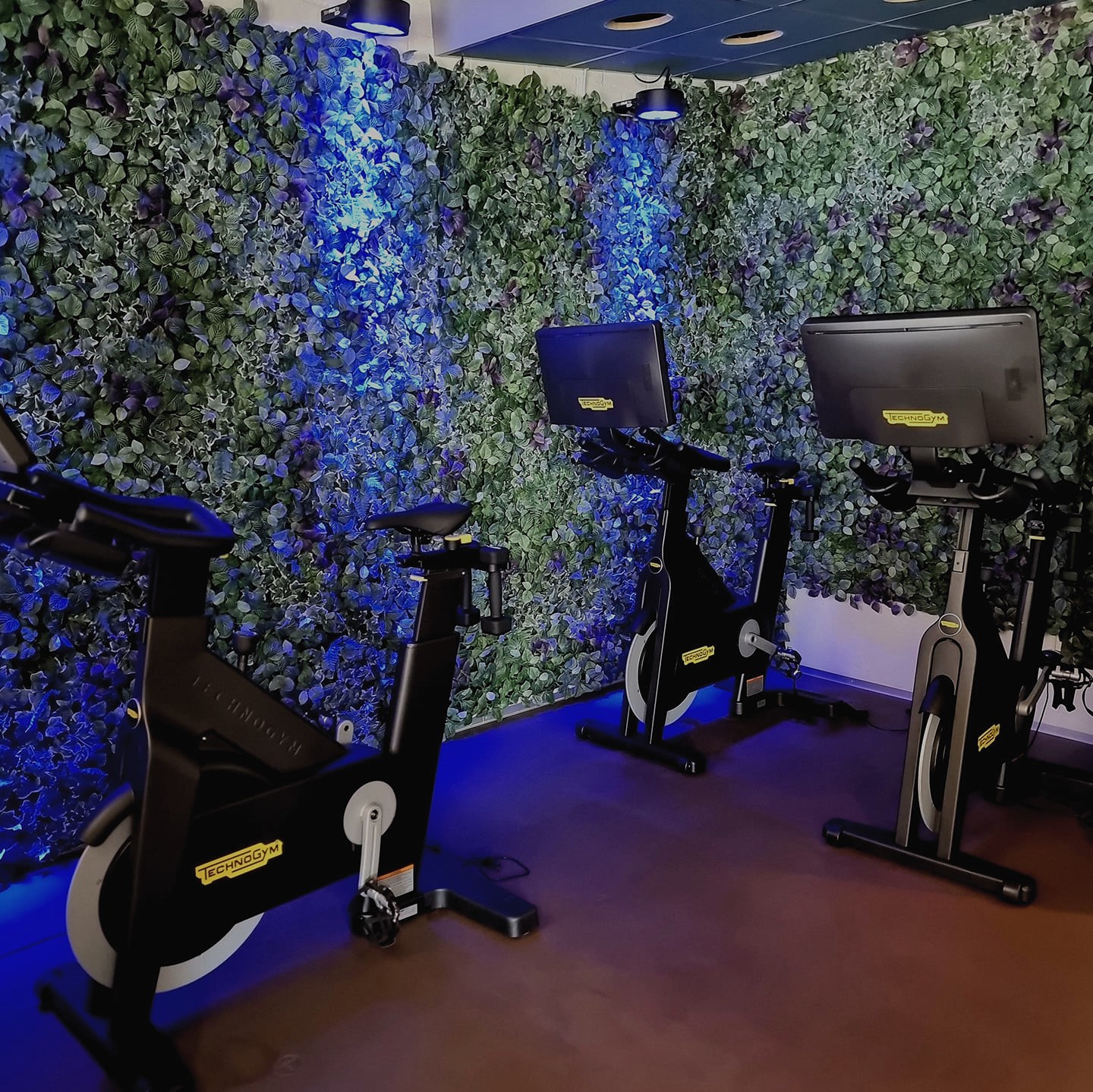 Solvik Members Club – har uppdaterat utrustningen med Technogym Bike ...