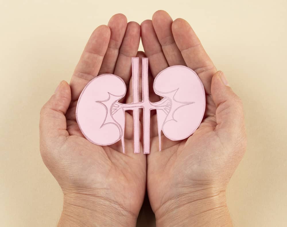 Kidney cancer - Healthily