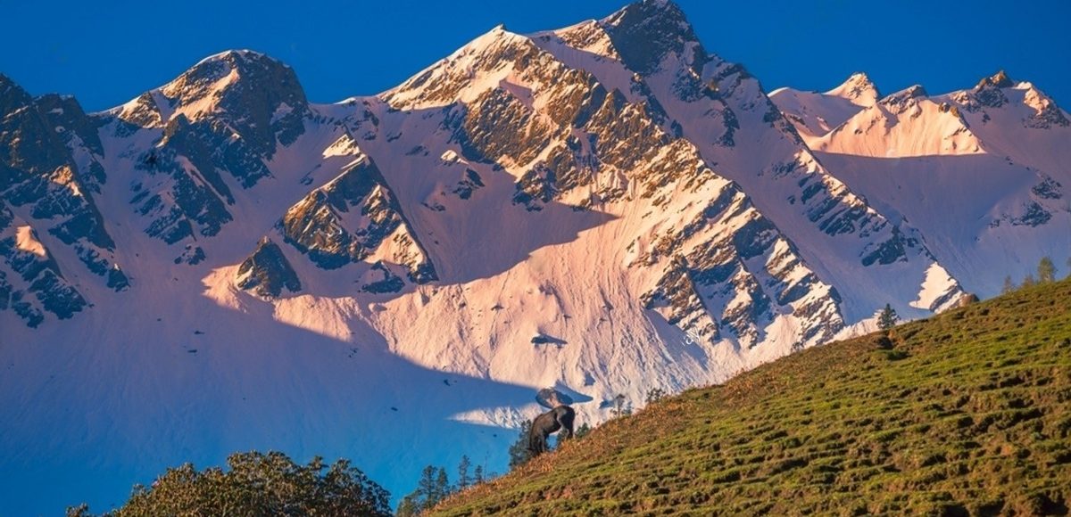 Sar Pass Trek | Adventure Treks in Himachal Pradesh
