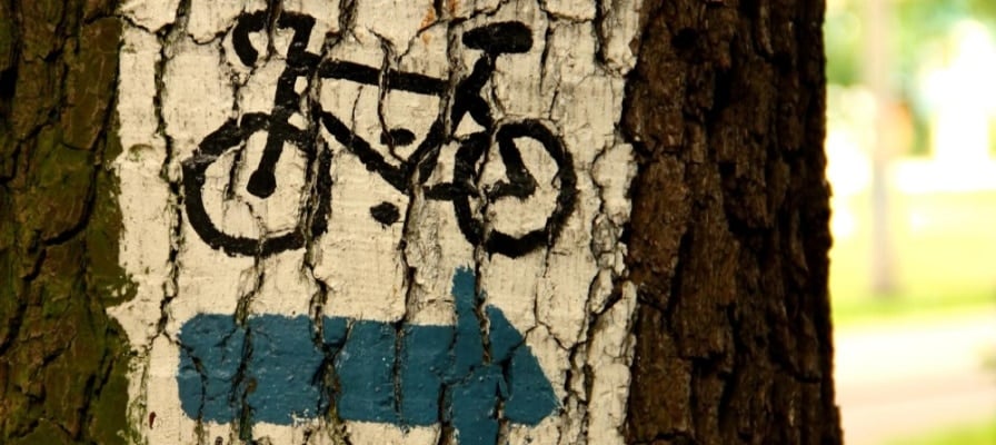 Harmonie im Wald - e-MTBs im Wald richtig fahren
